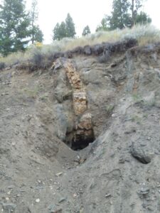 Sheep Creek - US Critical Materials